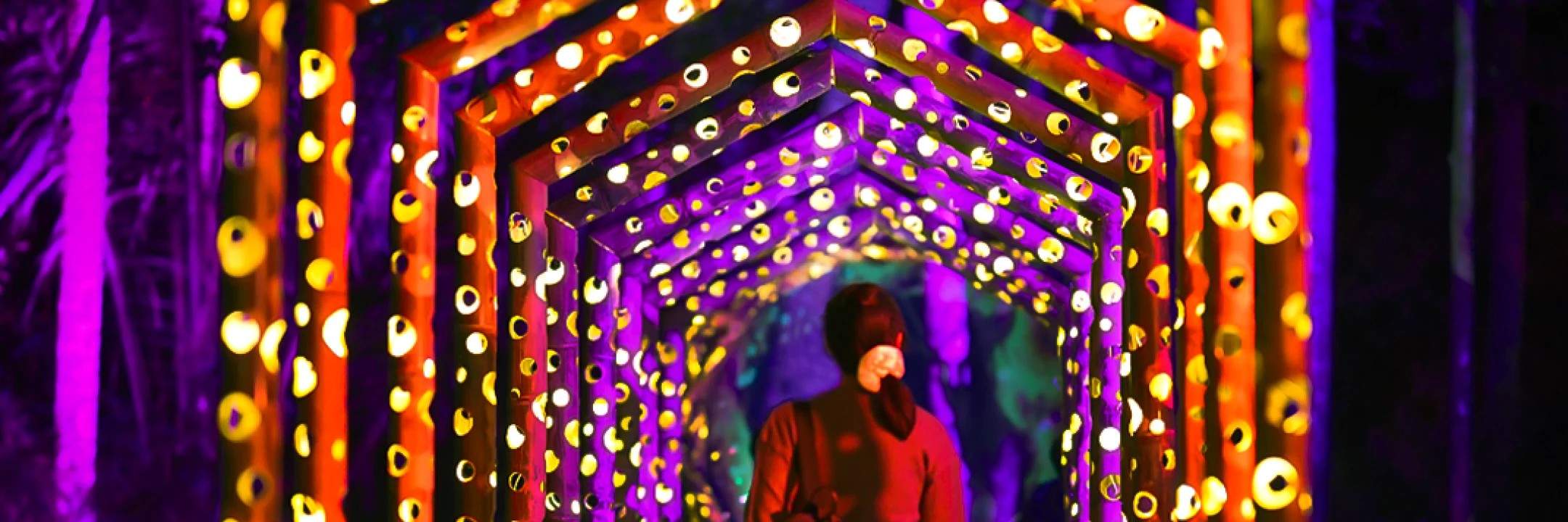 Hikaria: Bali's First Immersive Night Walk Ticket in Ubud - Klook Australia