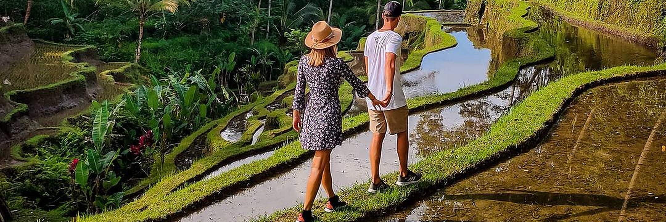 Bali Glass-Bottomed Bridge And Ubud Tour - Klook India