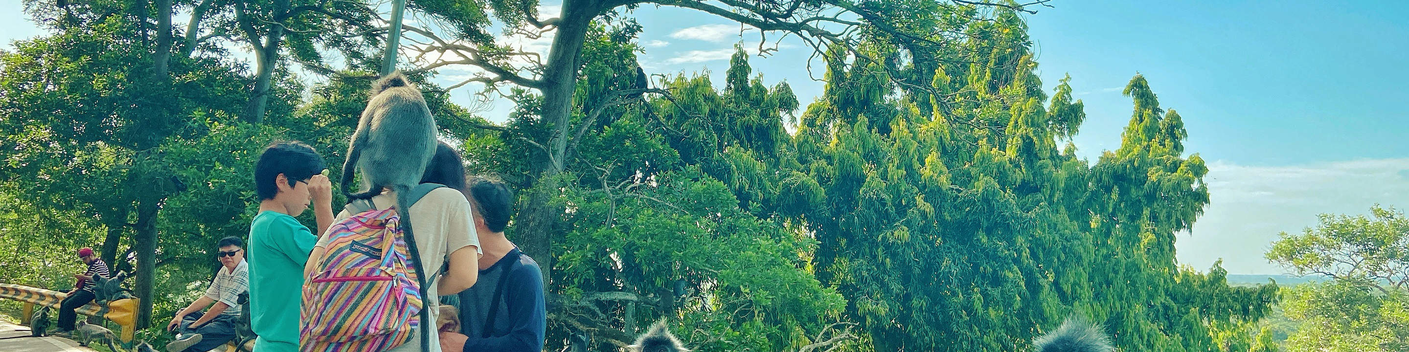 Fireflies Night Tour with Seafood Dinner and Boat Ride - Klook Singapore