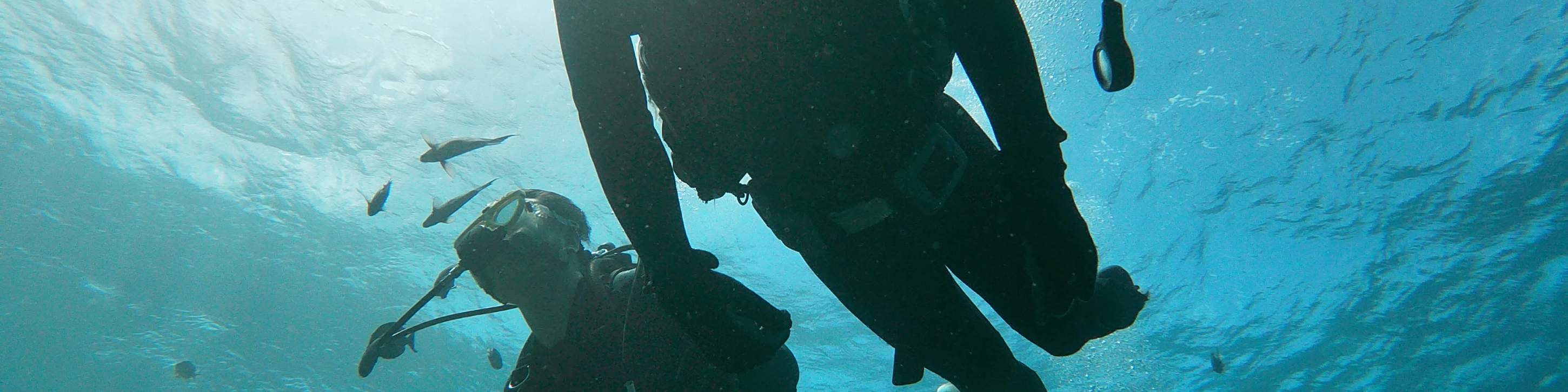 Okinawa: Blue Cave Introductory Dive (Boat Trip) - Klook