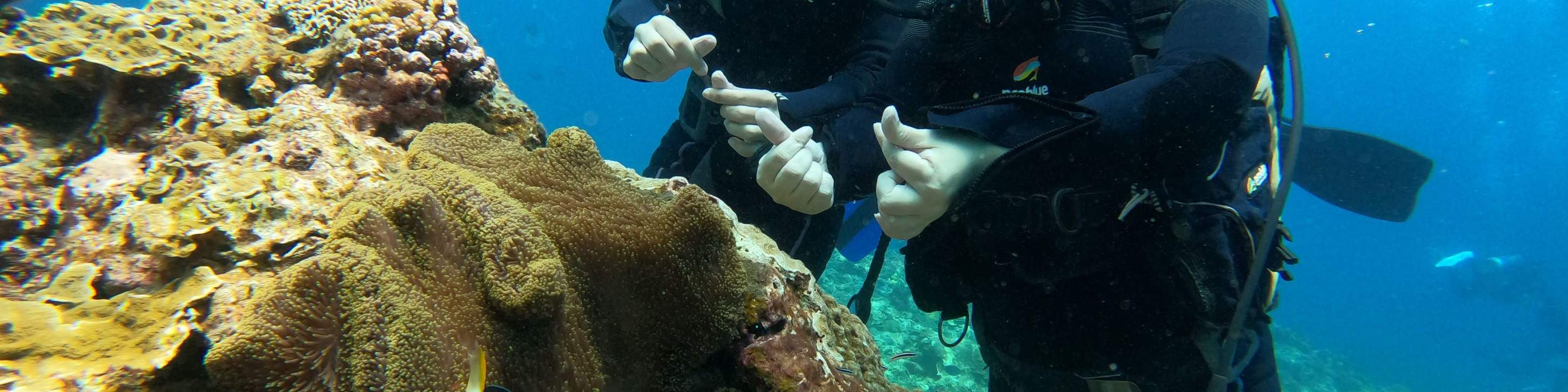 Green Island Diving Experience (1:1 Instructor, No License Required ...