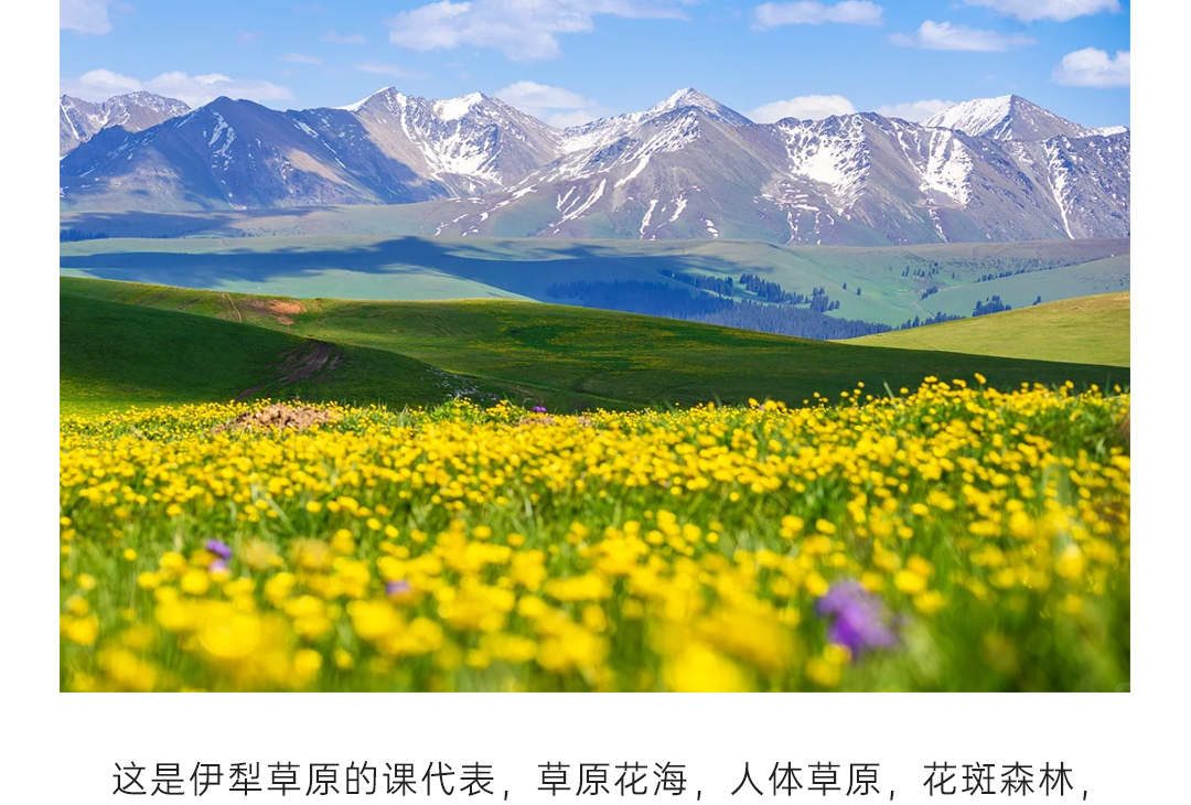 8-day tour in Yili, Xinjiang (horse riding + cycling + Sailimu Lake ...