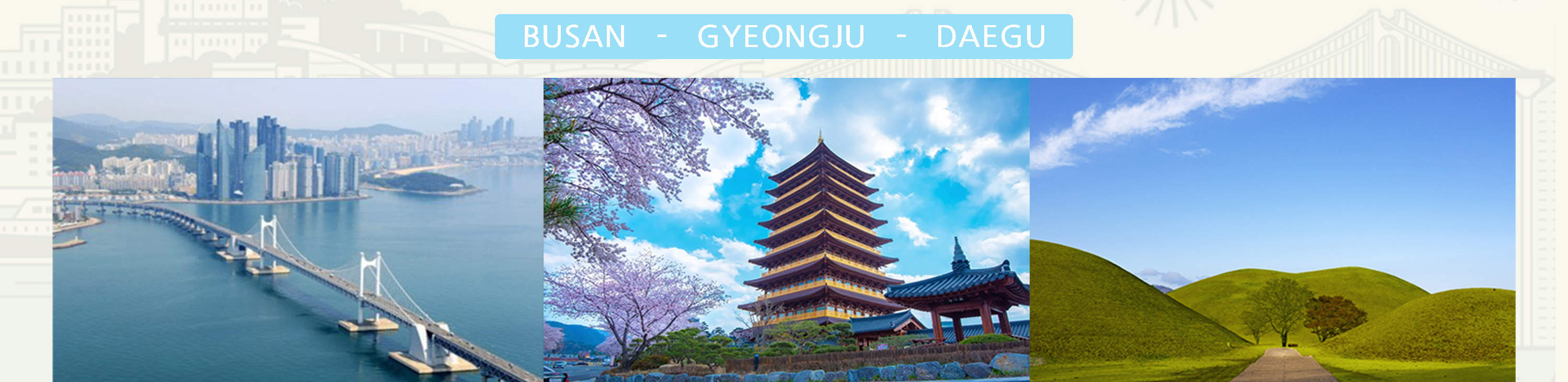 Private Charter Tour with a Local Guide from Busan - Klook