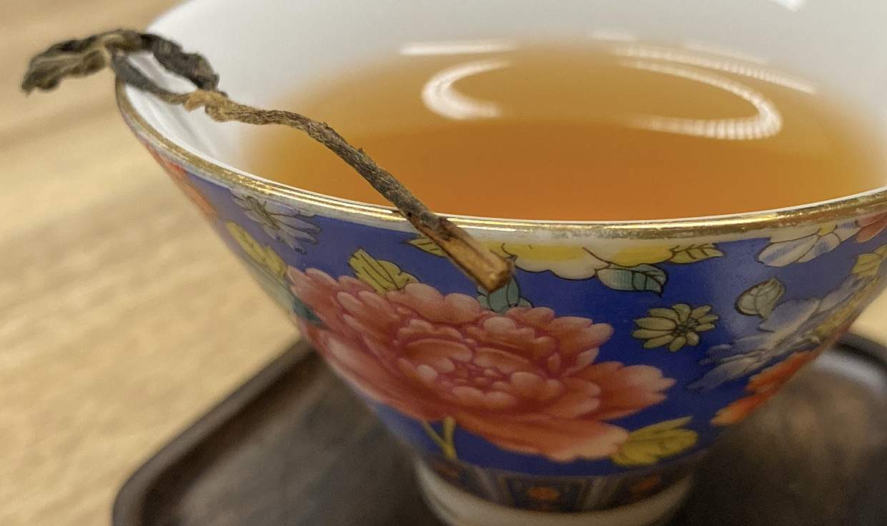 Explore the Richness of Ancient Tree Black Tea: Tasting Workshop ...