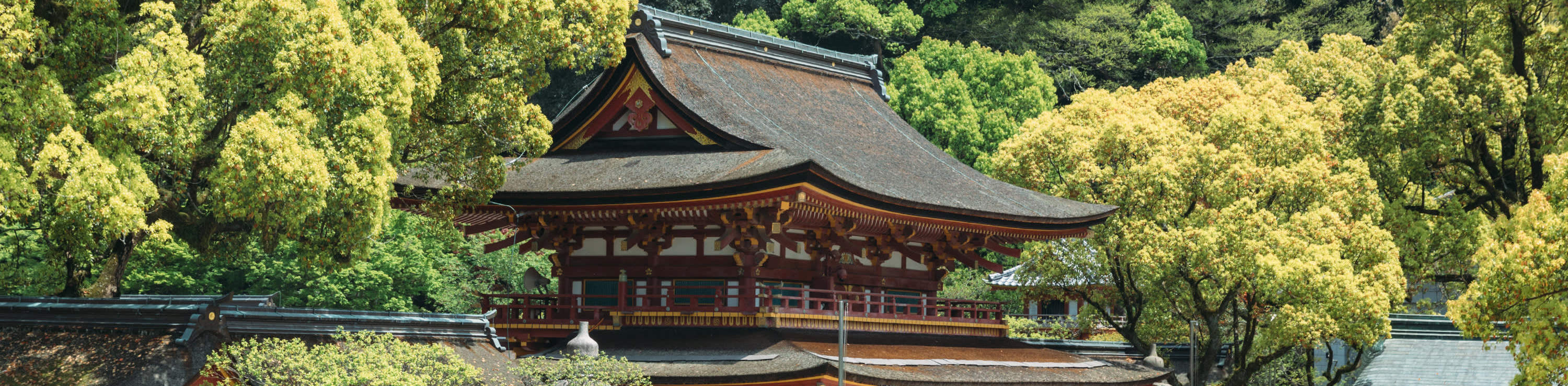 Kyushu Oita In-depth One-Day Tour｜Pray at Dazaifu Tenmangu Shrine ...