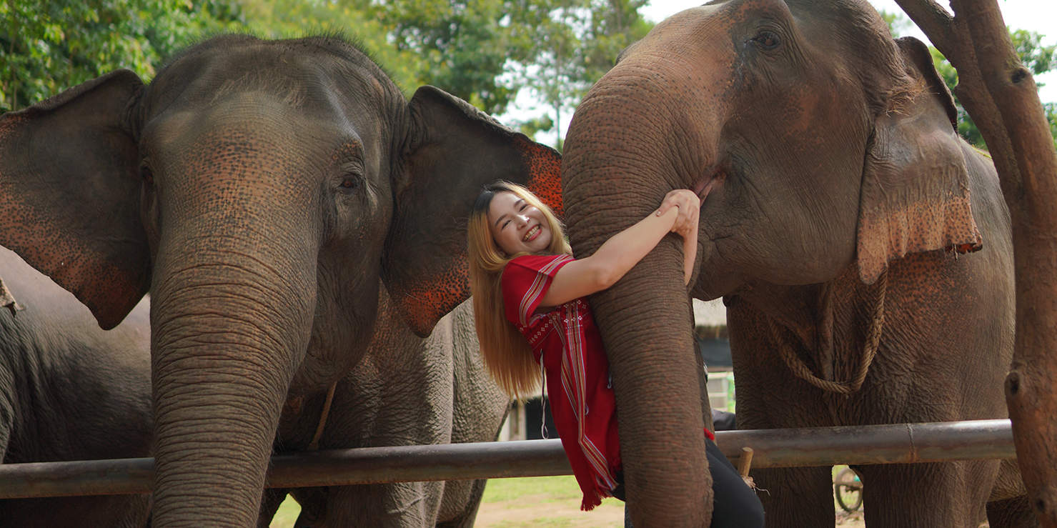 Sertai Meneroka Gajah, Berakit Buluh, Kampung Karen Leher Panjang Warisan di Chiang Mai - Klook ...