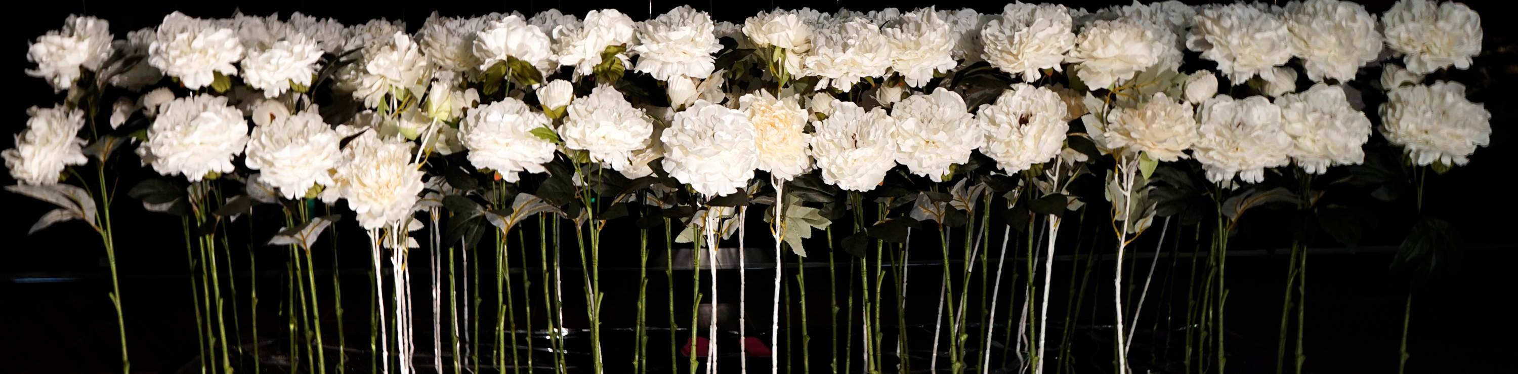 Floral Palette Life Photo Studio#5 Ticket in Seoul - Klook Philippines