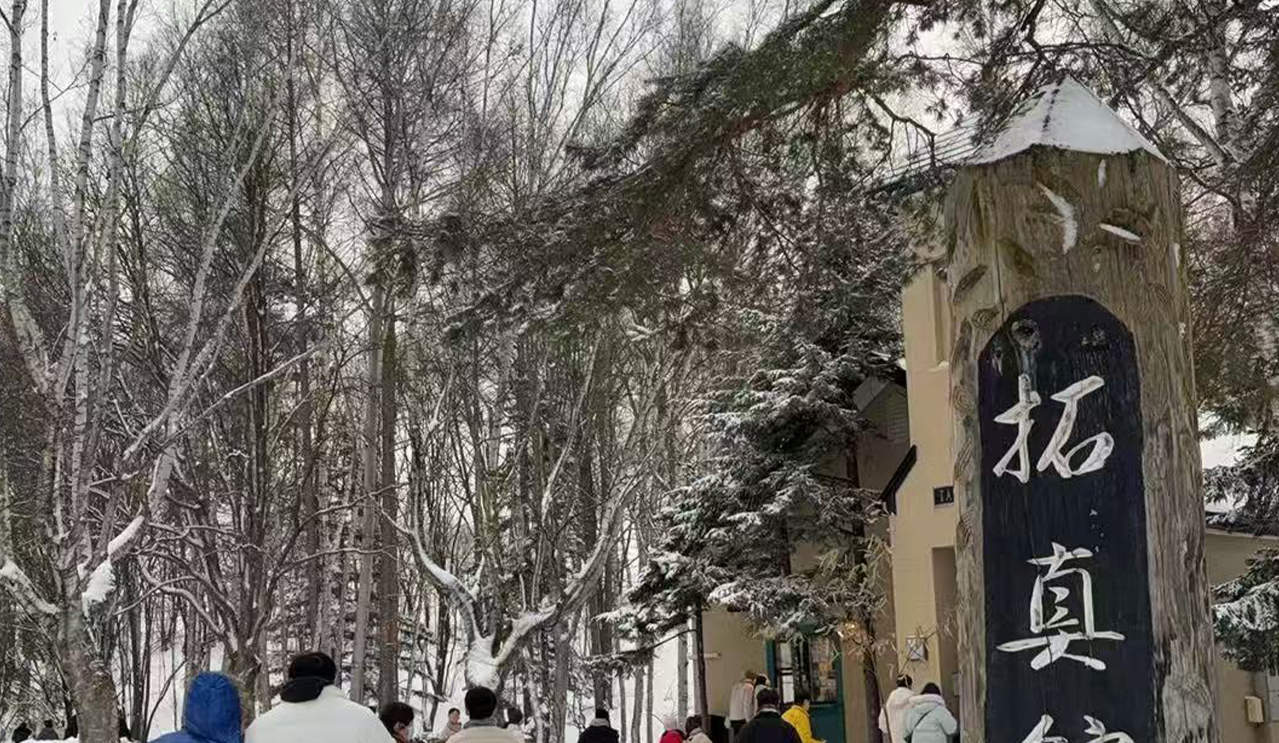 Blue Pond Illumination & Ningle Terrace & Shikisai-no-oka & Christmas ...