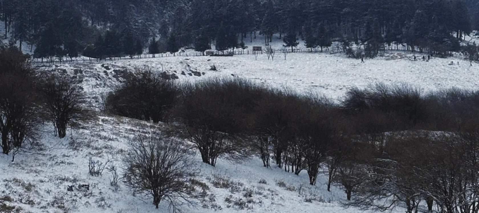 Chongqing Wulong Fairy Mountain & Tiansheng Three Bridges 1-Day Tour ...
