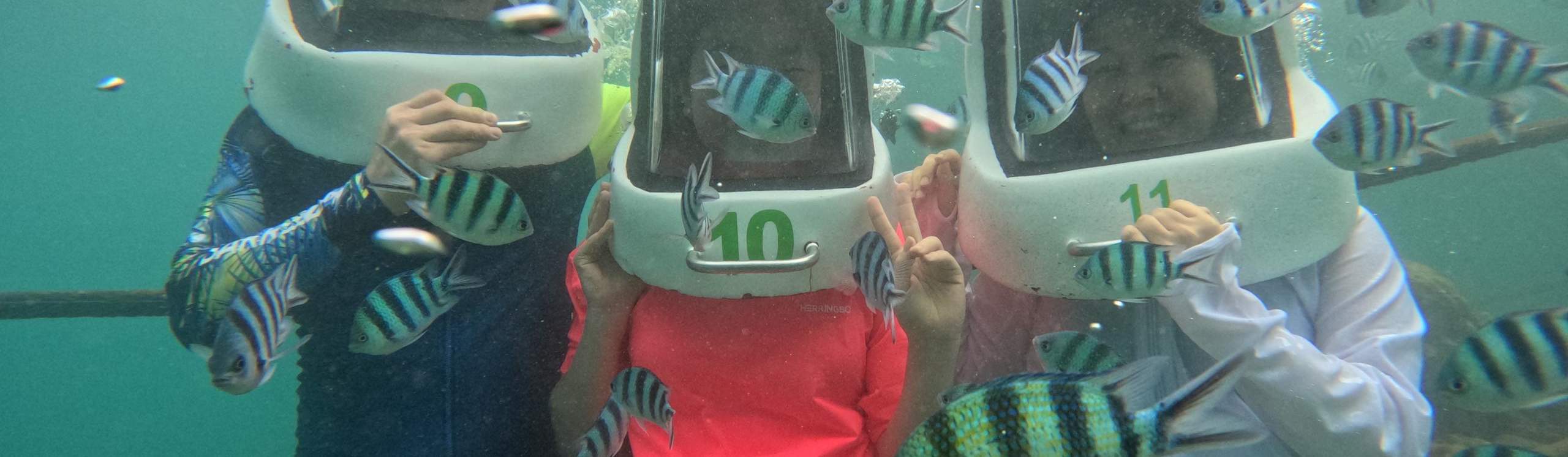 Thrilling Watersports: Jetski and Seawalking Experience by Seadoo ...