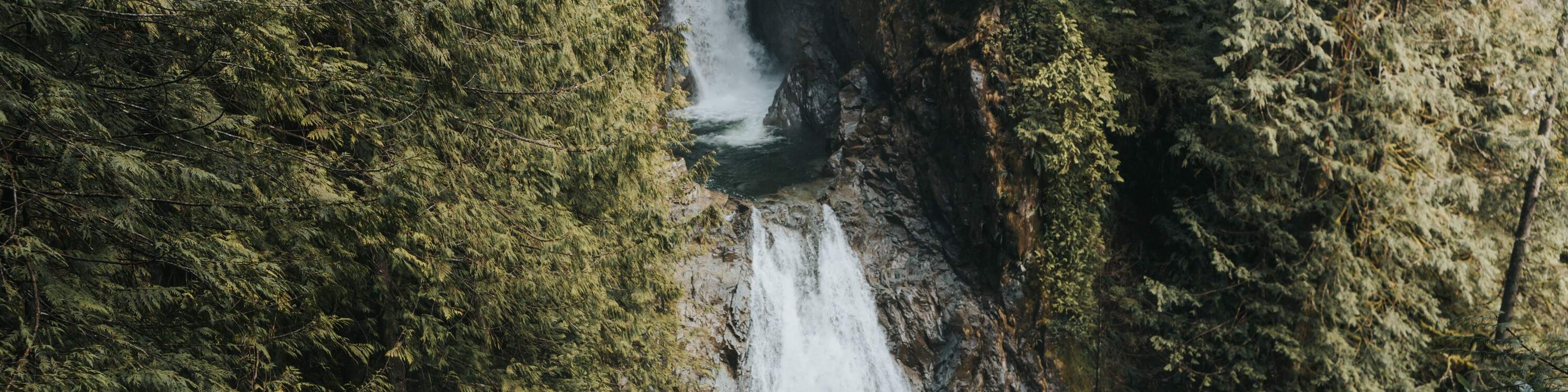Wallace Falls Rainforest and Waterfall Hiking Tour From Seattle - Klook ...
