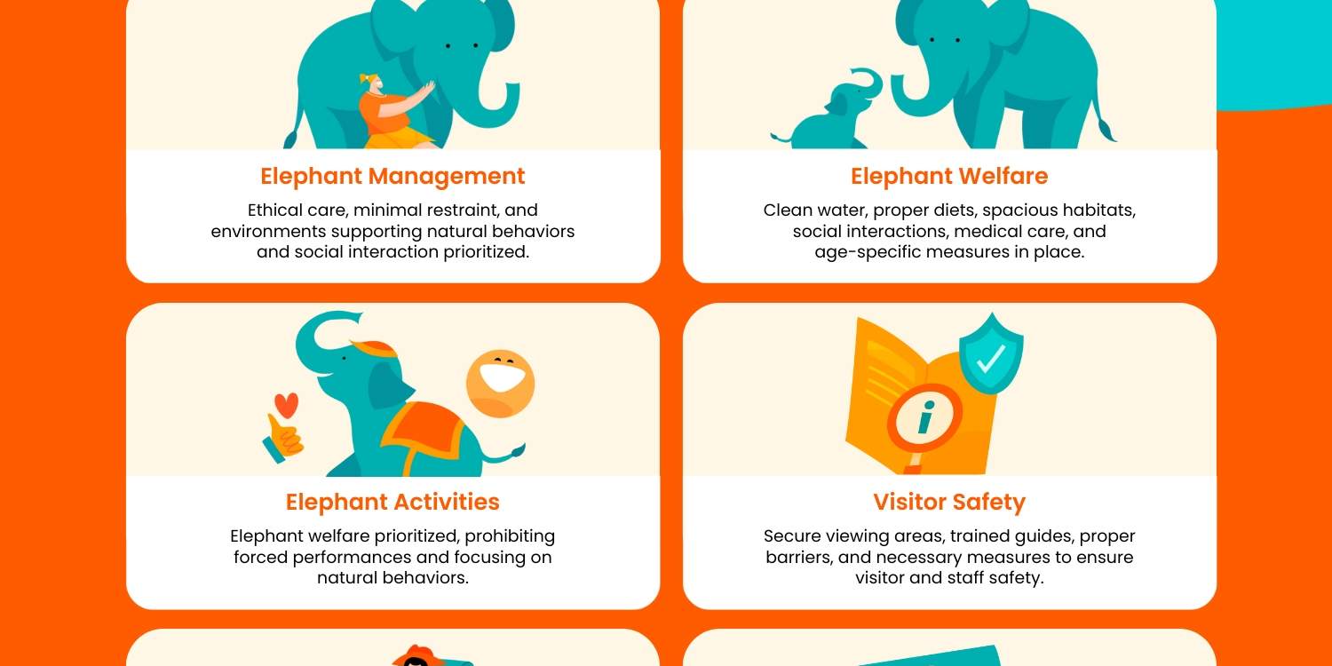 Kanchanaburi Elephant World Private Tour From Bangkok - Klook Philippines