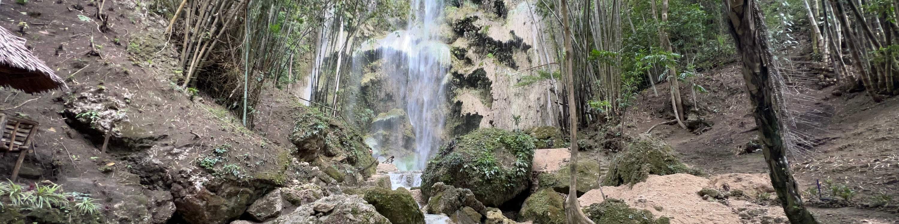 Whale Shark Encounter, Sumilon Sandbar, and Canyoneering in Kawasan ...
