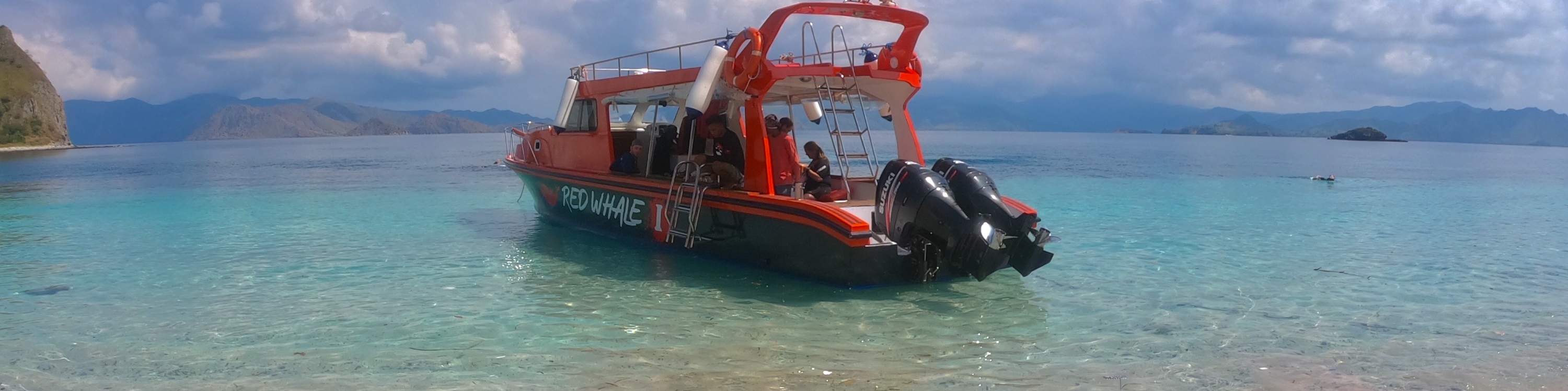 Lawatan Sehari Penuh Bot Laju Paus Merah dari Labuan Bajo - Klook ...