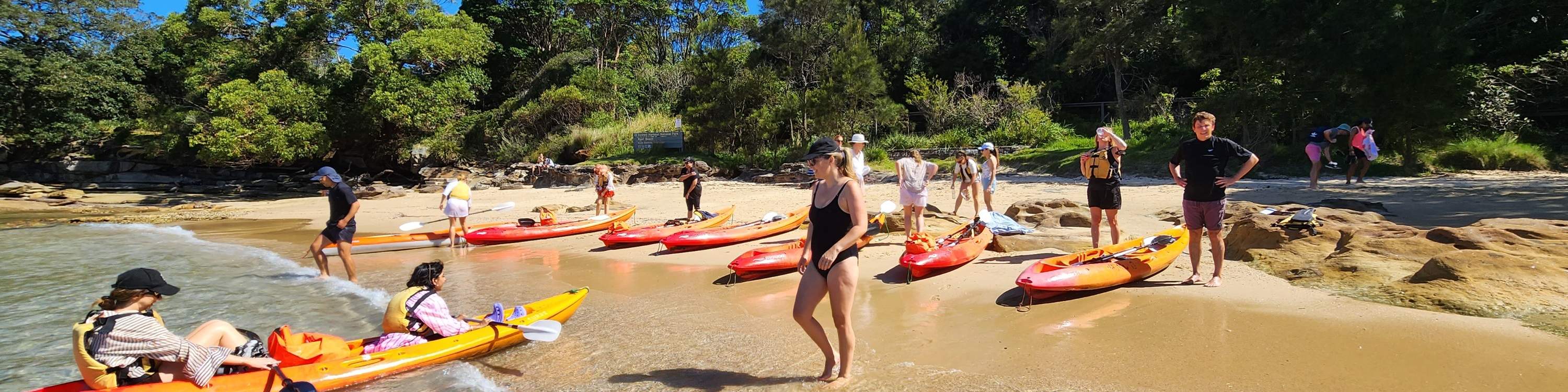 Mini Kayak Tour from Manly - Klook