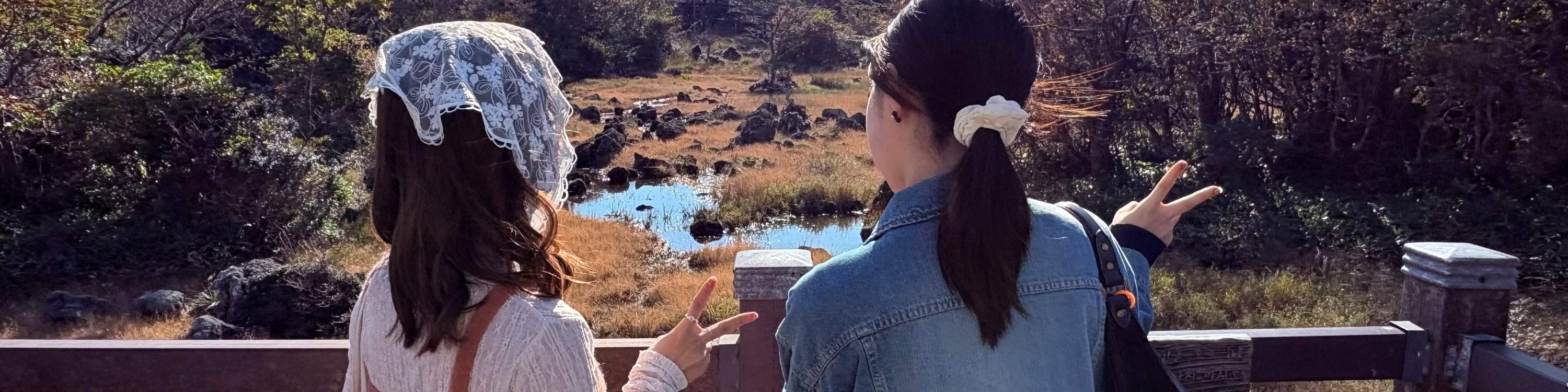 Jeju Fall Foliage, Tangerine Picking, Pink Muhly & Silver Grass Tour ...