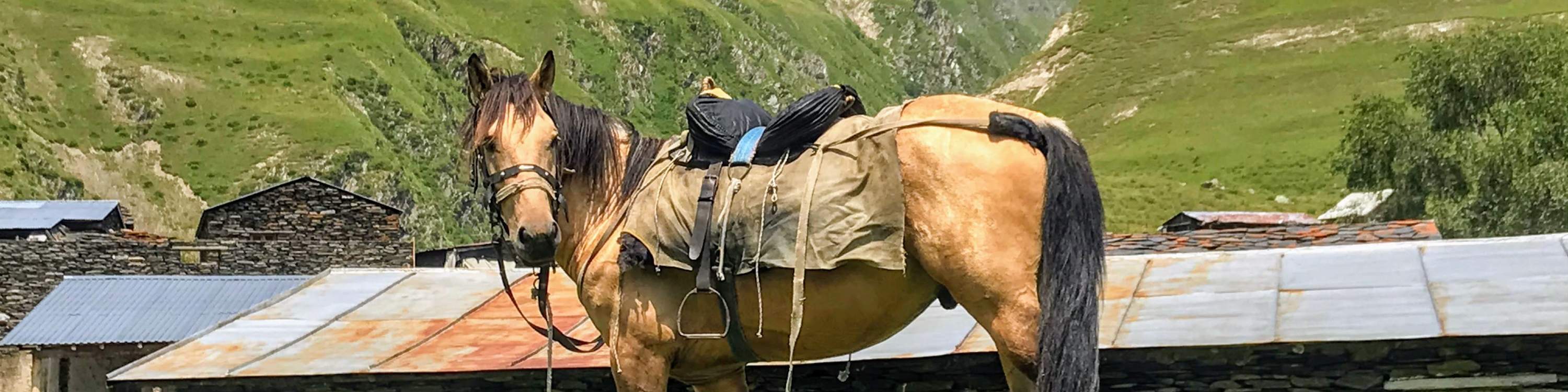 Kazbegi and Truso Valley Off-Road Adventure - Klook