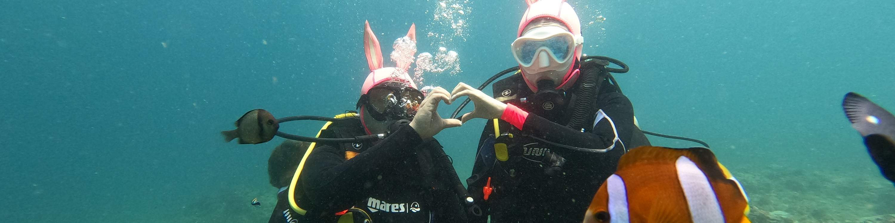 Pengalaman Menyelam SCUBA yang Tak Terlupakan di Cebu - Tidak Perlu ...