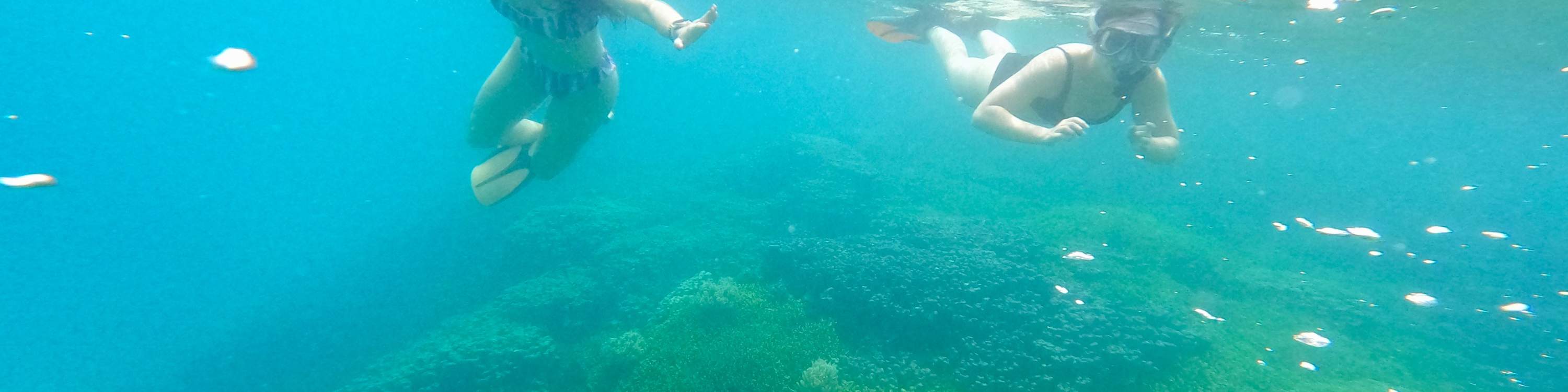 關島立式單槳衝浪課程和帶導遊的浮潛體驗 Klook 客路