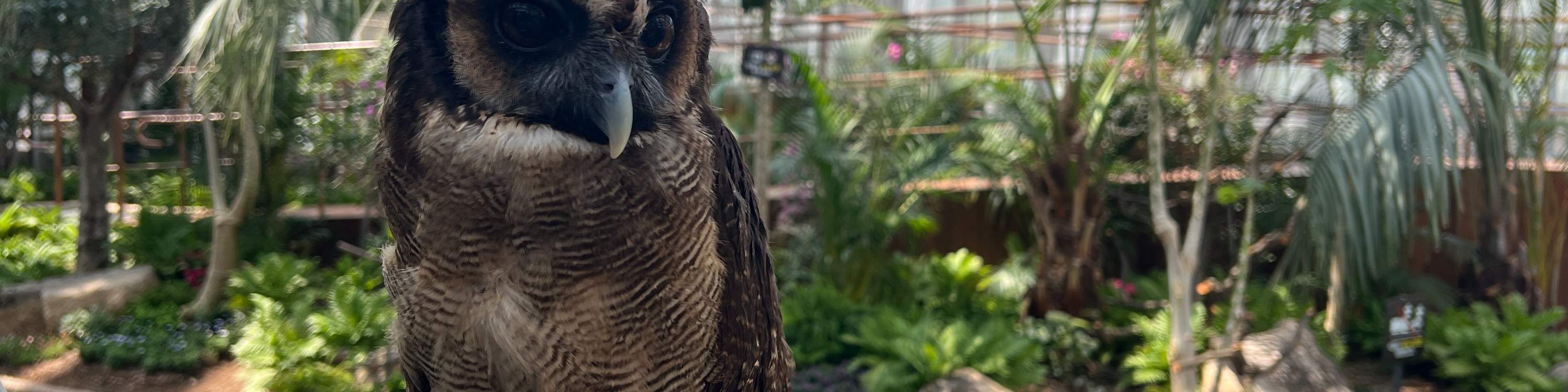Begonia Bird Garden+Mysterious Zoo+Aqua Cafe Round-trip shuttle - Klook
