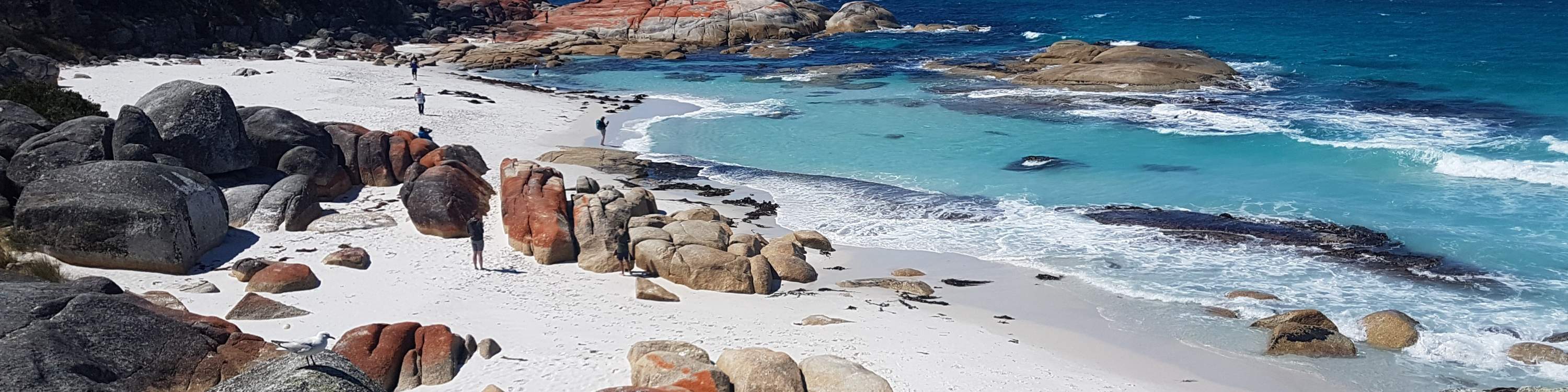 4 Day Wild Tasmania Walking Tour - Klook