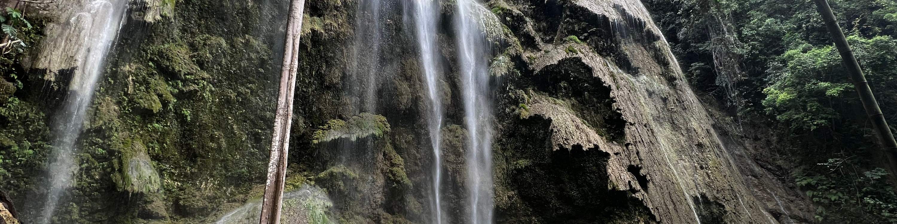 Whale Shark Encounter, Sumilon Sandbar, and Canyoneering in Kawasan ...