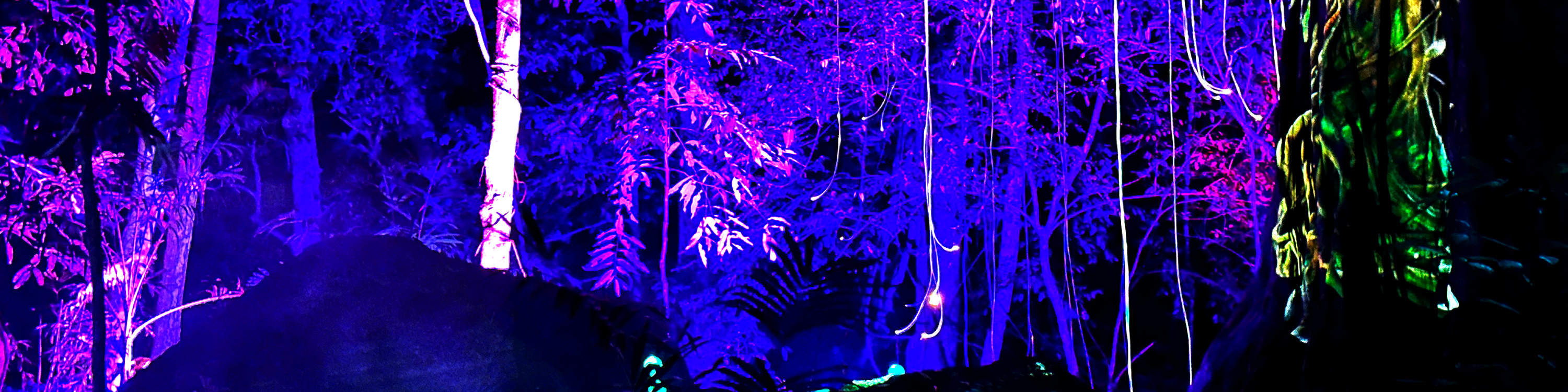 Dream Forest Langkawi Ticket - Klook United States