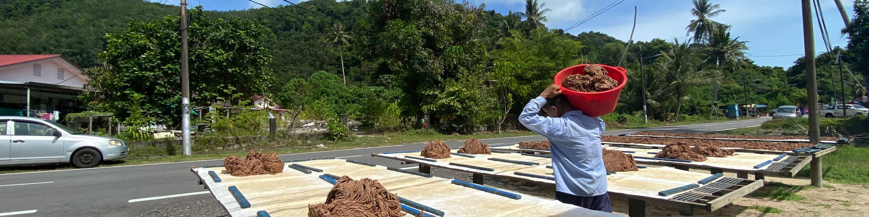 Eat, Drink and Play in Balik Pulau, Penang - Klook