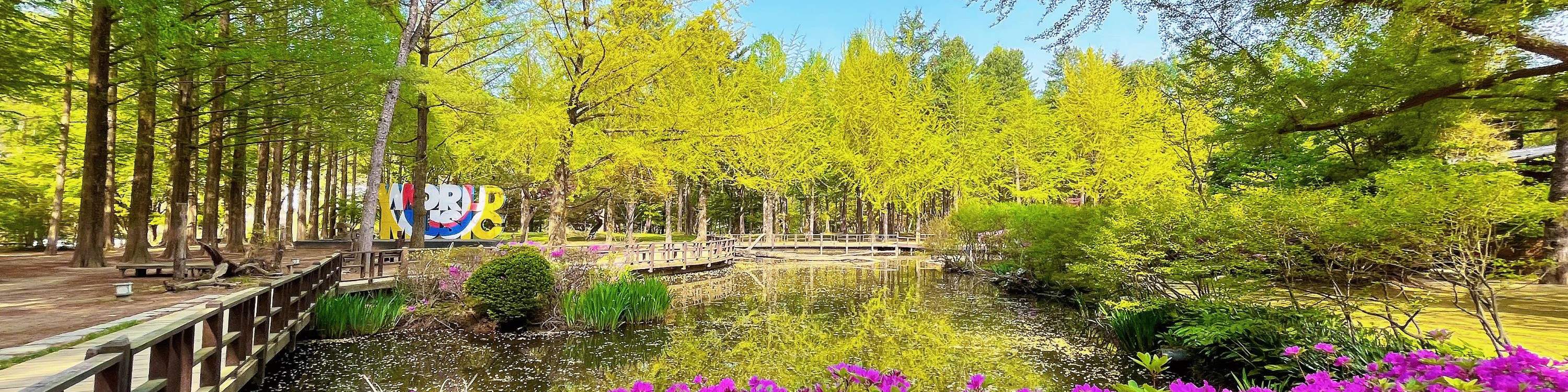 NAMI ISLAND & LOTTE WORLD TOUR - Klook
