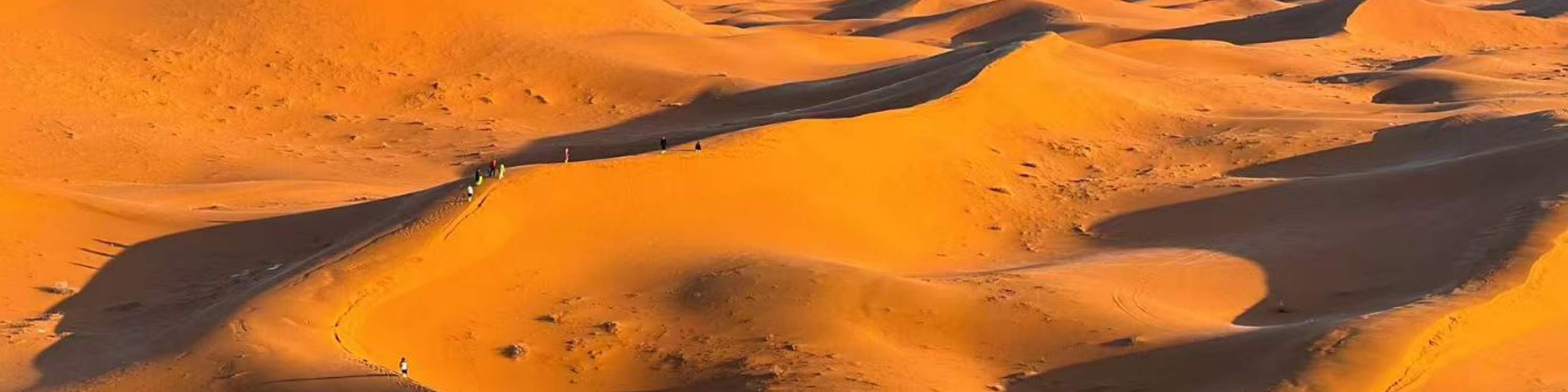 Ningxia Tengger Desert Five Lakes 4-day Tour (Desert Starry Sky Camping ...