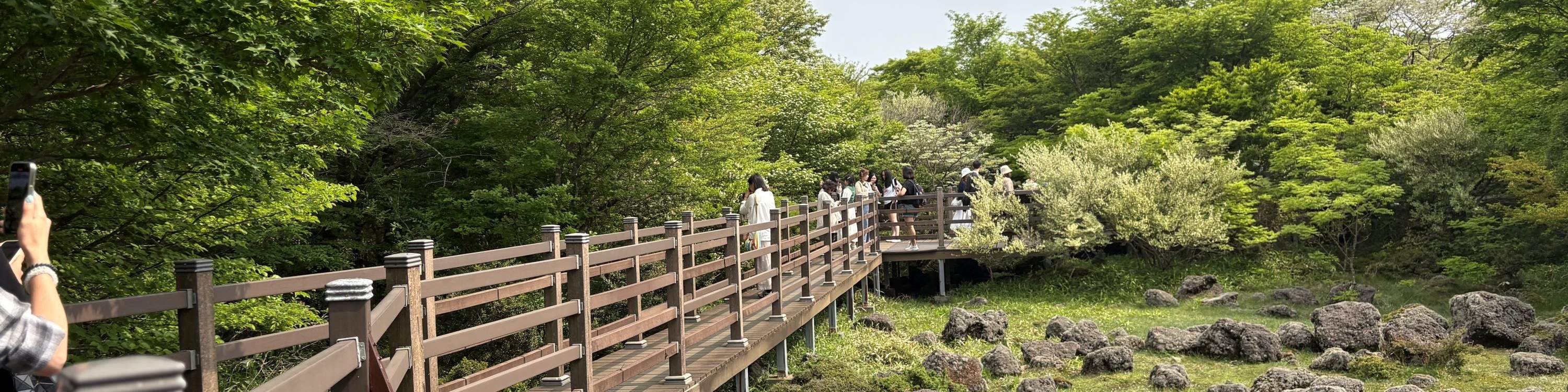 Jeju Fall Foliage, Tangerine Picking, Pink Muhly & Silver Grass Tour ...