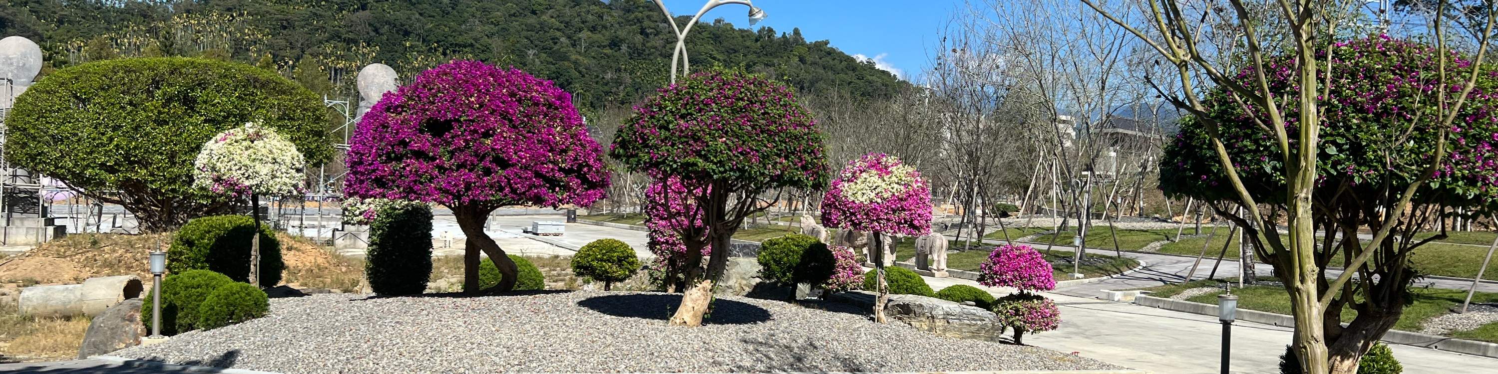 Nantou: A Day Trip to Chung Tai World Museum for Buddhist Artifacts ...