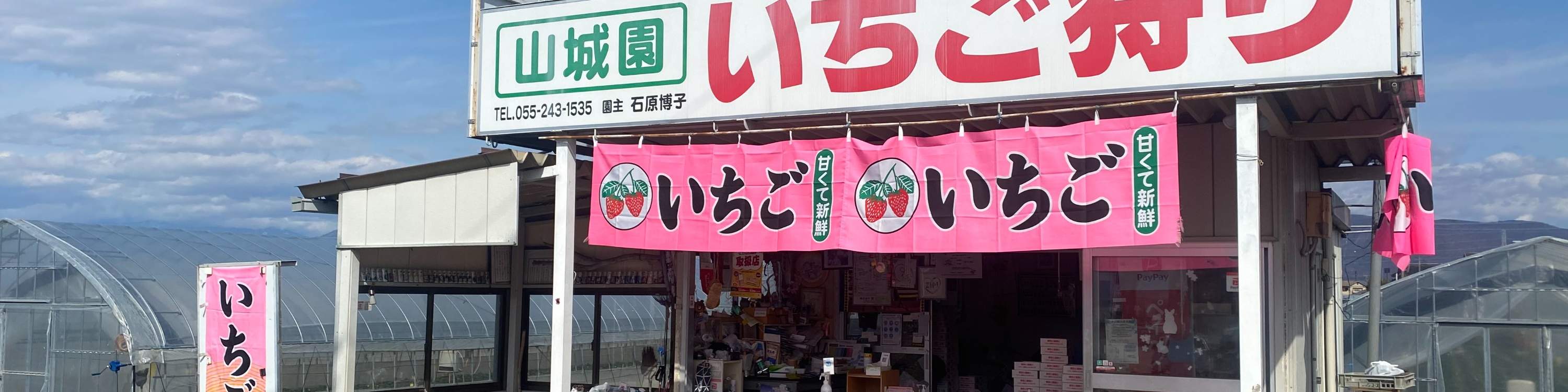 All-you-can-pick and eat organic strawberries (Yamanashi) - Klook