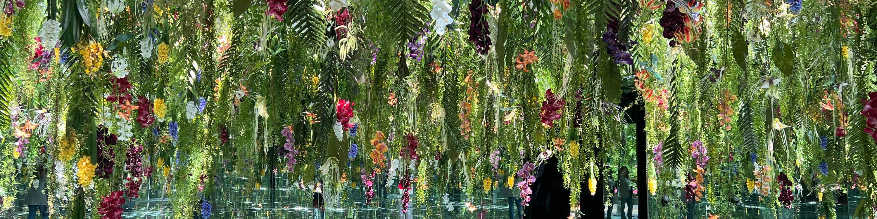Begonia Bird Garden+Mysterious Zoo+Aqua Cafe Round-trip shuttle - Klook
