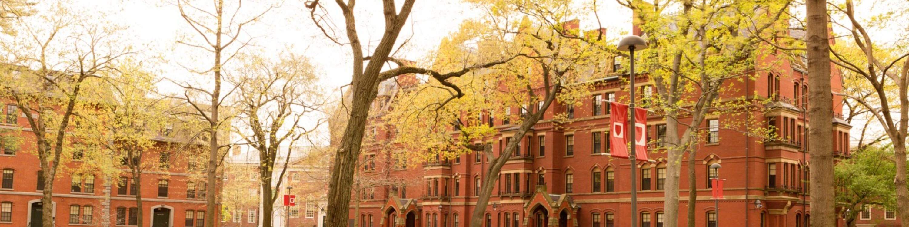 Illustrious Schools: MIT and Harvard University Walking Tour - Klook