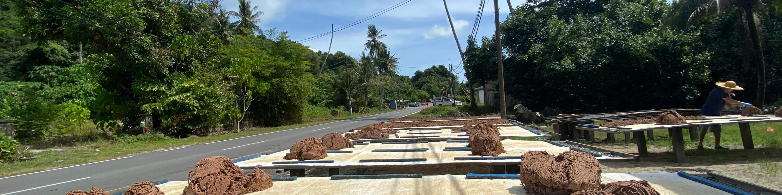 Eat, Drink and Play in Balik Pulau, Penang - Klook