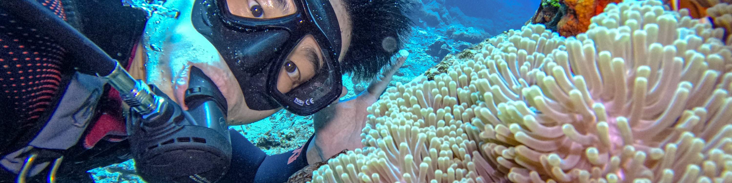 Green Island Bay Diving One-to-One Diving Experience・3 Days 2 Nights Package Itinerary - Klook