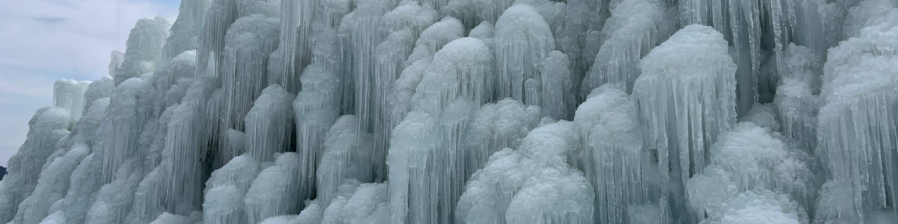 Tour dell'Arboreto Nazionale di Sejong e del Villaggio Alpino di Cheongyang con partenza da ...