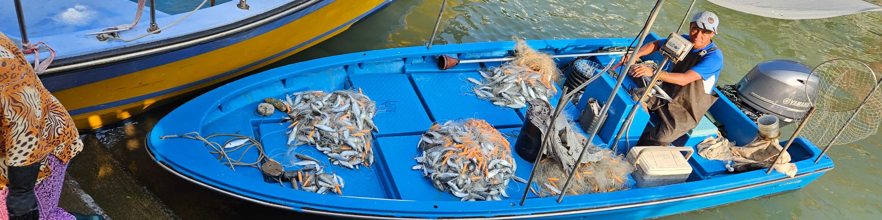 Tai O Sightseeing Boat Tickets - Klook