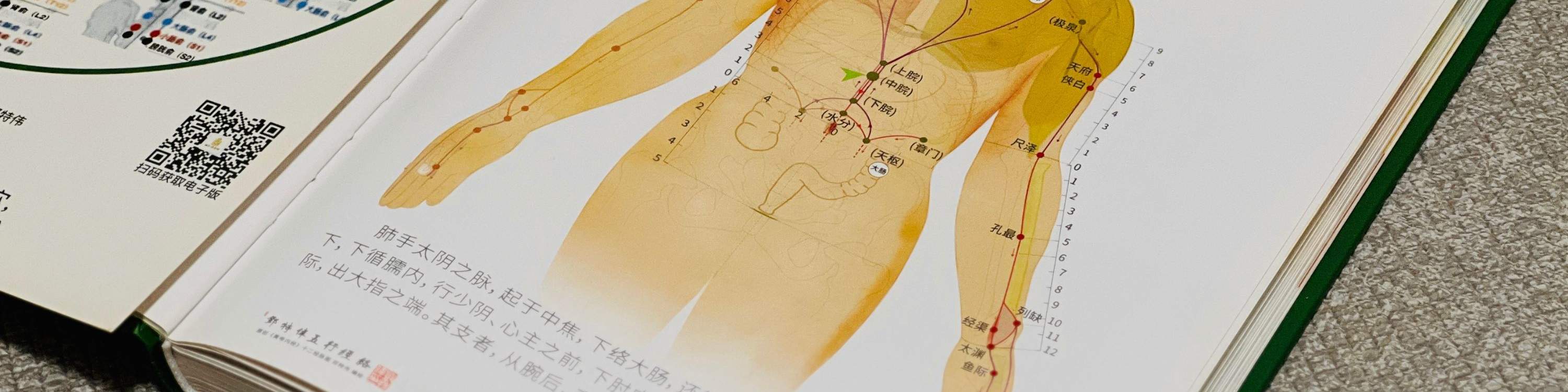 DIY Meridian & Acupoint Massage Workshop - Klook Hong Kong