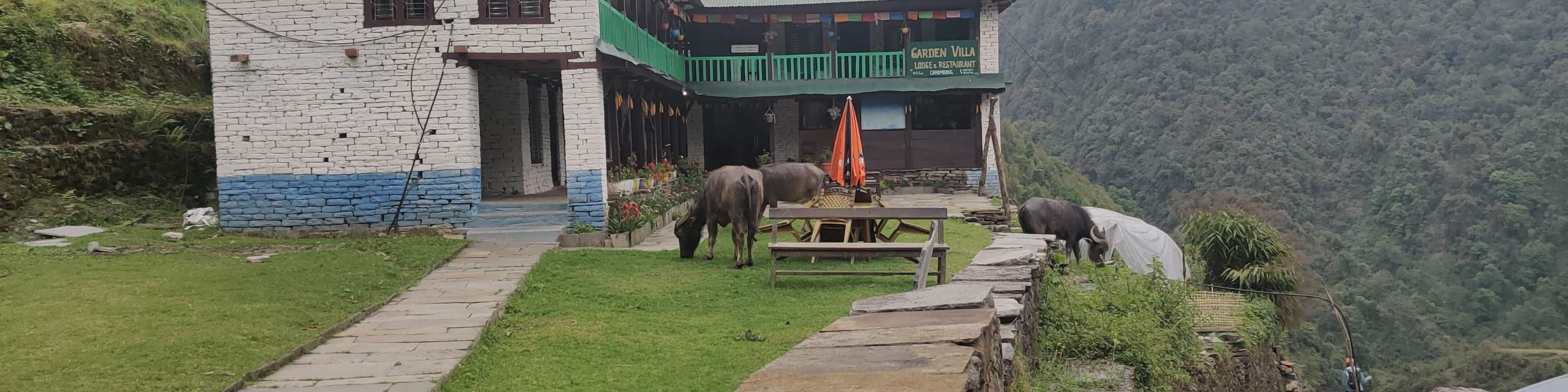 Annapurna Base Camp 5-Days Trek - Klook Malaysia