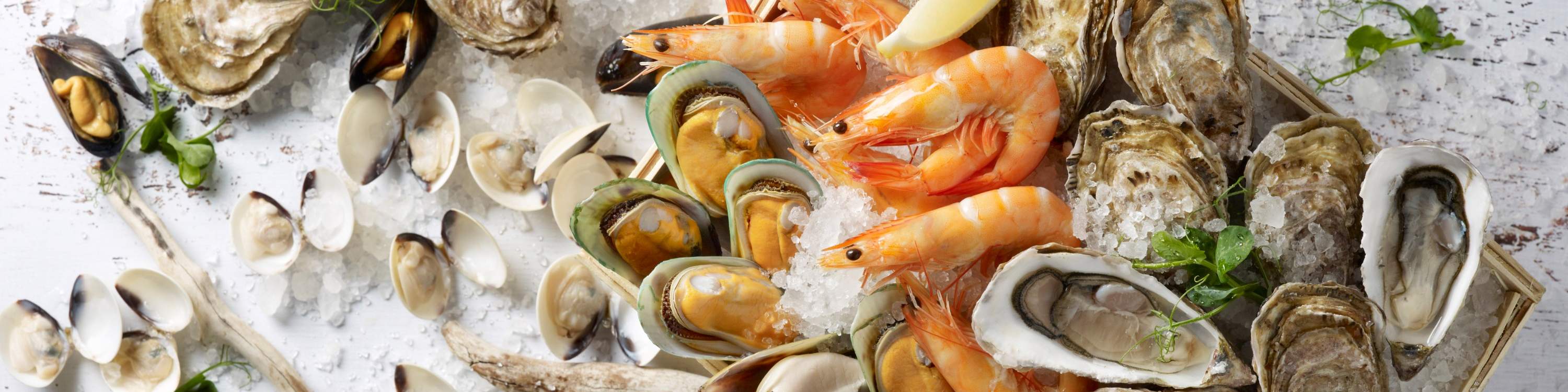 Food Exchange at Novotel Singapore on Stevens - Klook Singapore