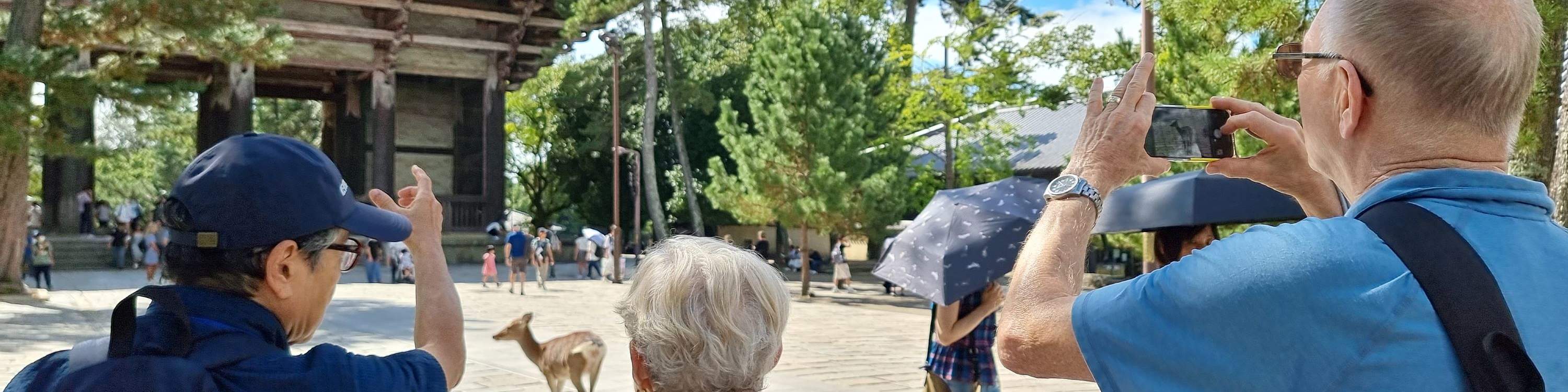 Nara World Heritage PRIVATE TOUR - Klook