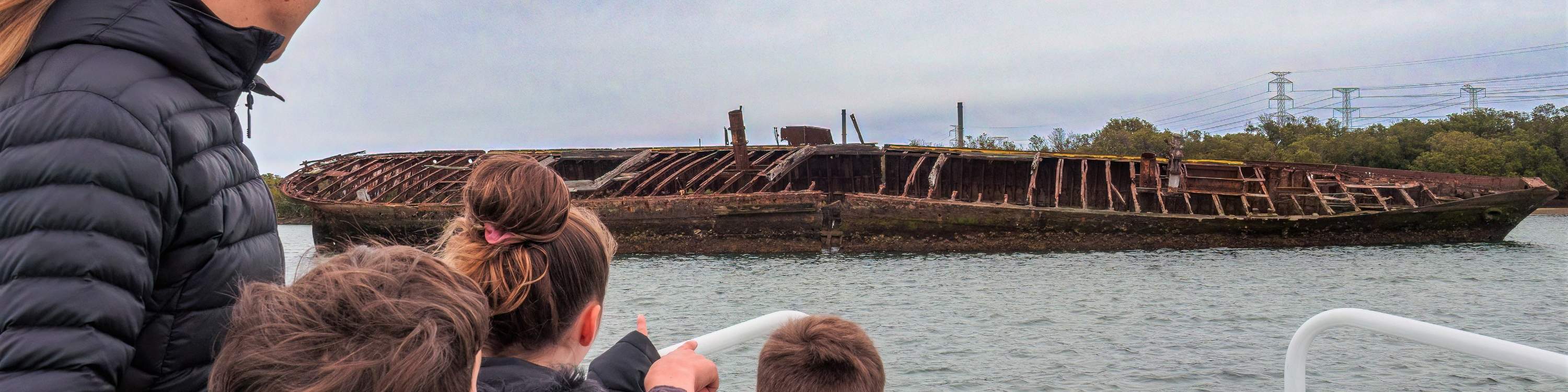 90 Minute Port River Dolphin & Shipwreck Cruise in Port Adelaide ...