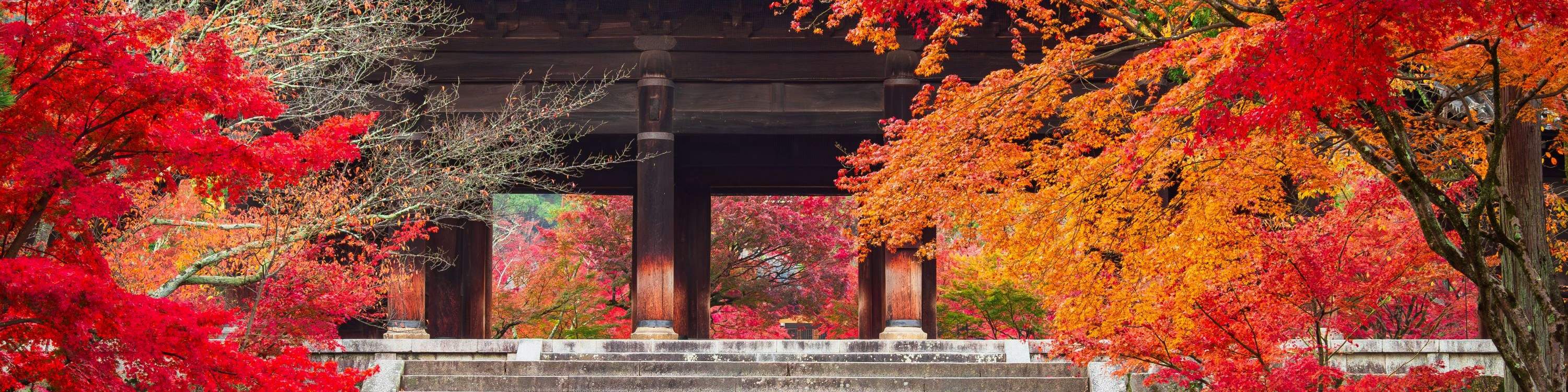 Autumn in Kyoto: Minoh, Sagano Train, Arashiyama & Kinkakuji - Klook ...