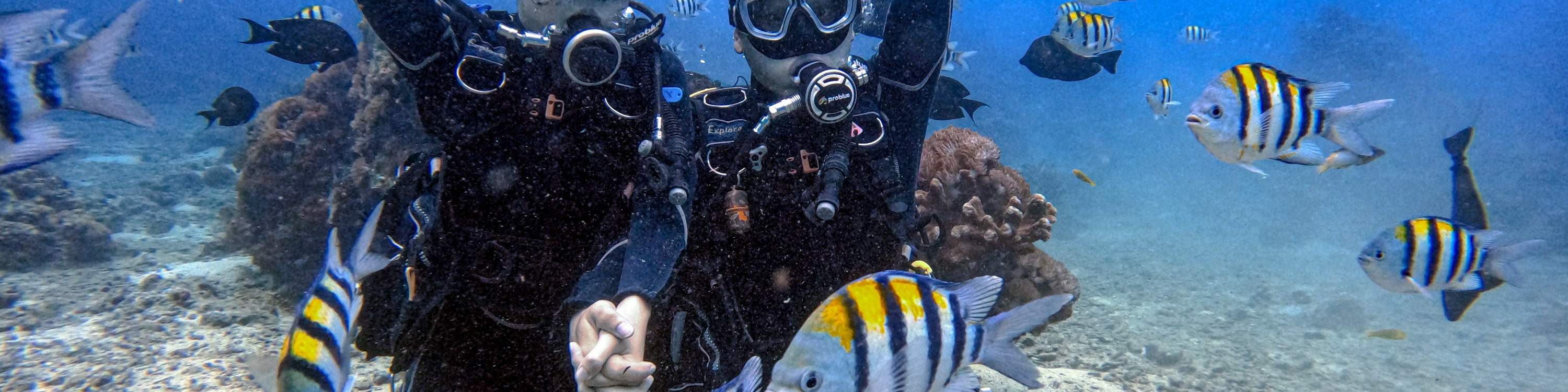 Green Island Bay Diving One-to-One Diving Experience・3 Days 2 Nights ...