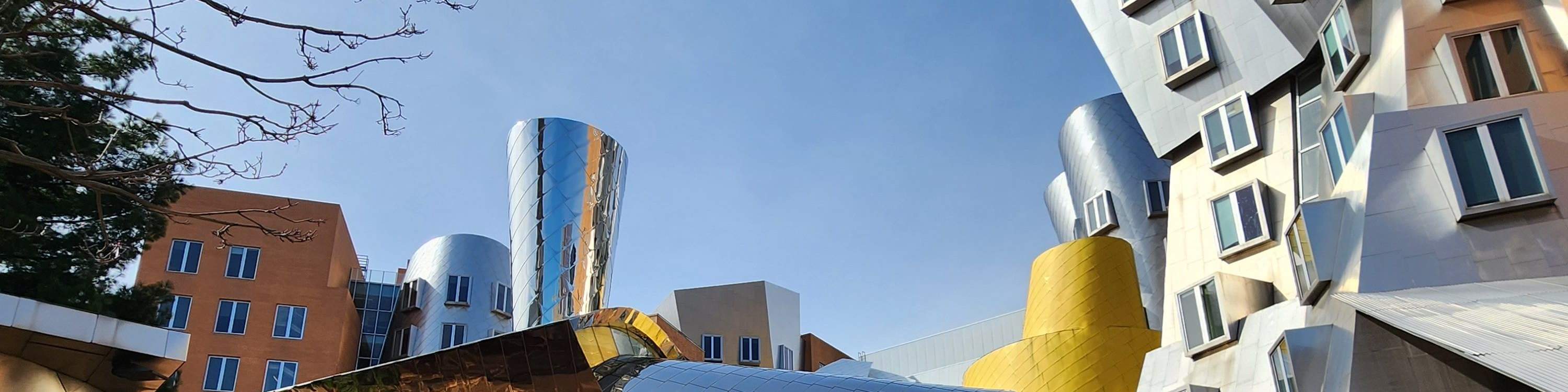 Illustrious Schools: MIT and Harvard University Walking Tour - Klook