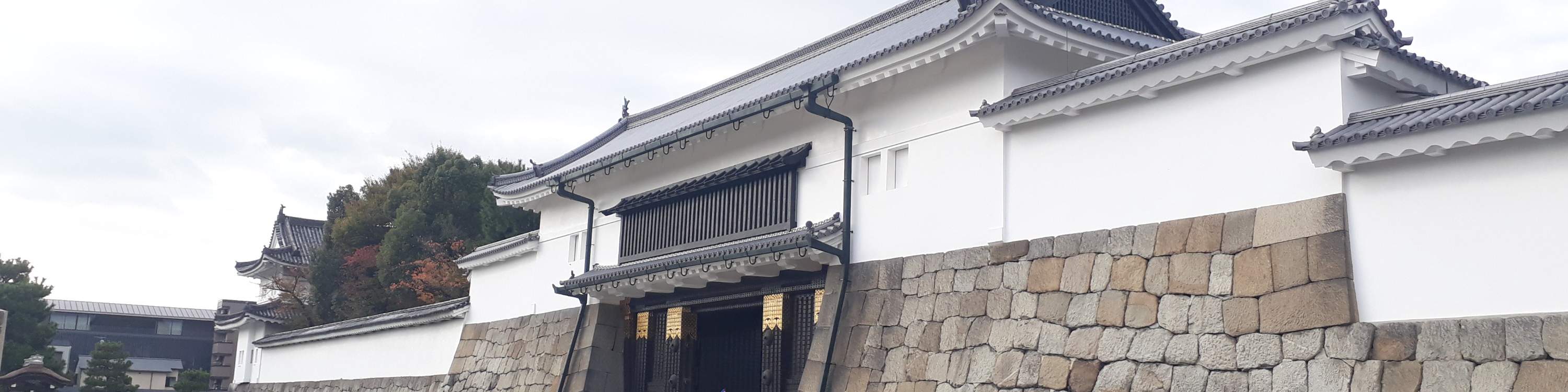 Kyoto Nijo Castle & Imperial Palace Small Group Tour Walking Tour - Klook