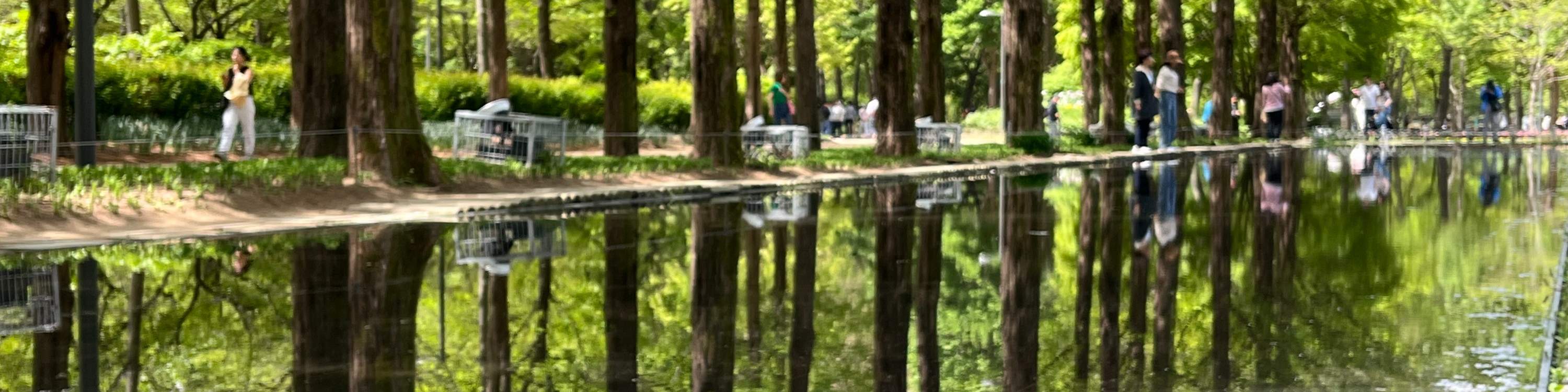 Nature Bike Tour in Han River & Seoul Forest - Klook