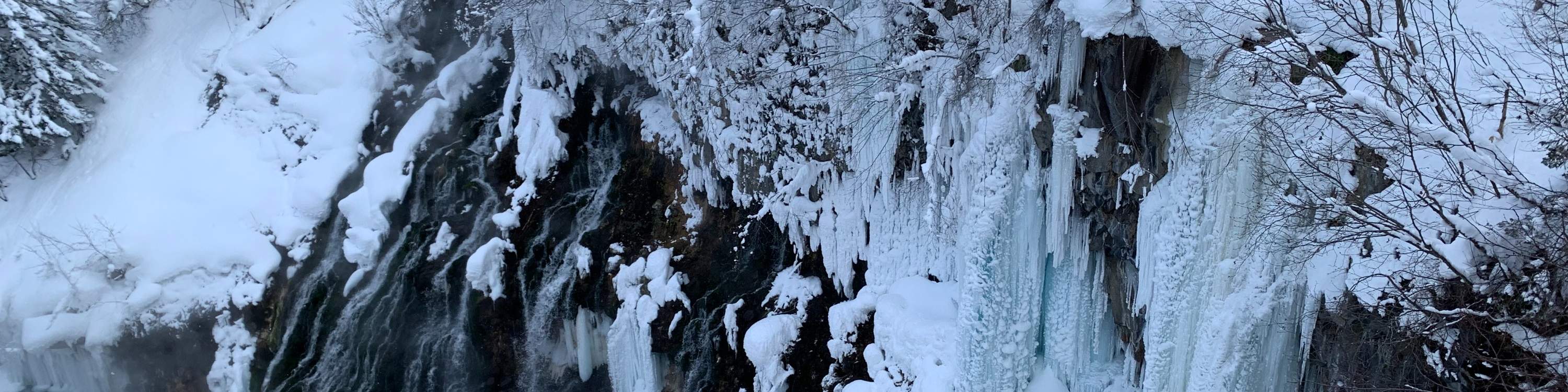 Book Hokkaido Day Tour to Asahiyama Zoo, Shirogane Blue Pond & more ...